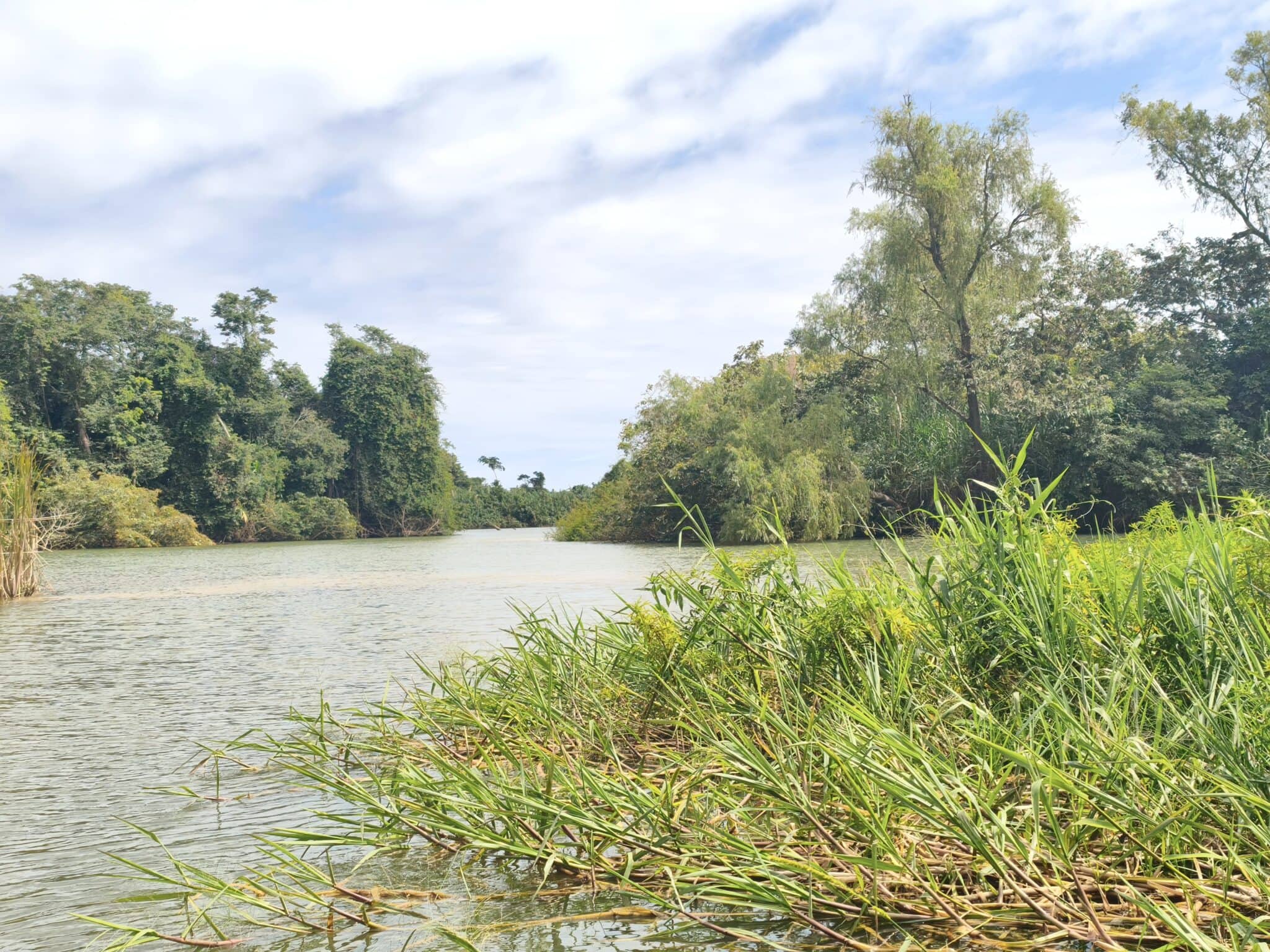Belize: Monkey River - a hotspot of tropical biodiversity